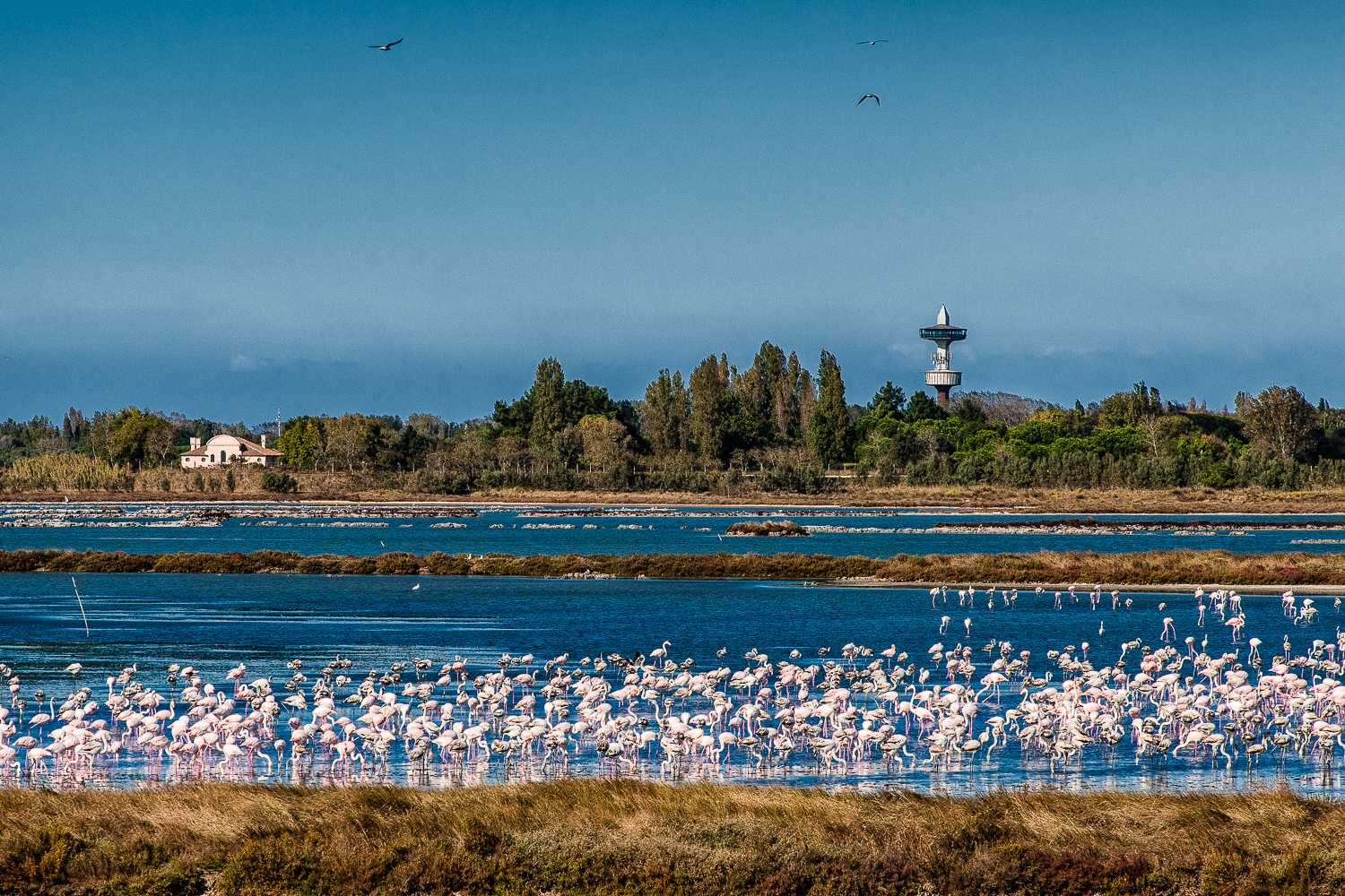 Albarella Island pays homage to Italy - Albarella
