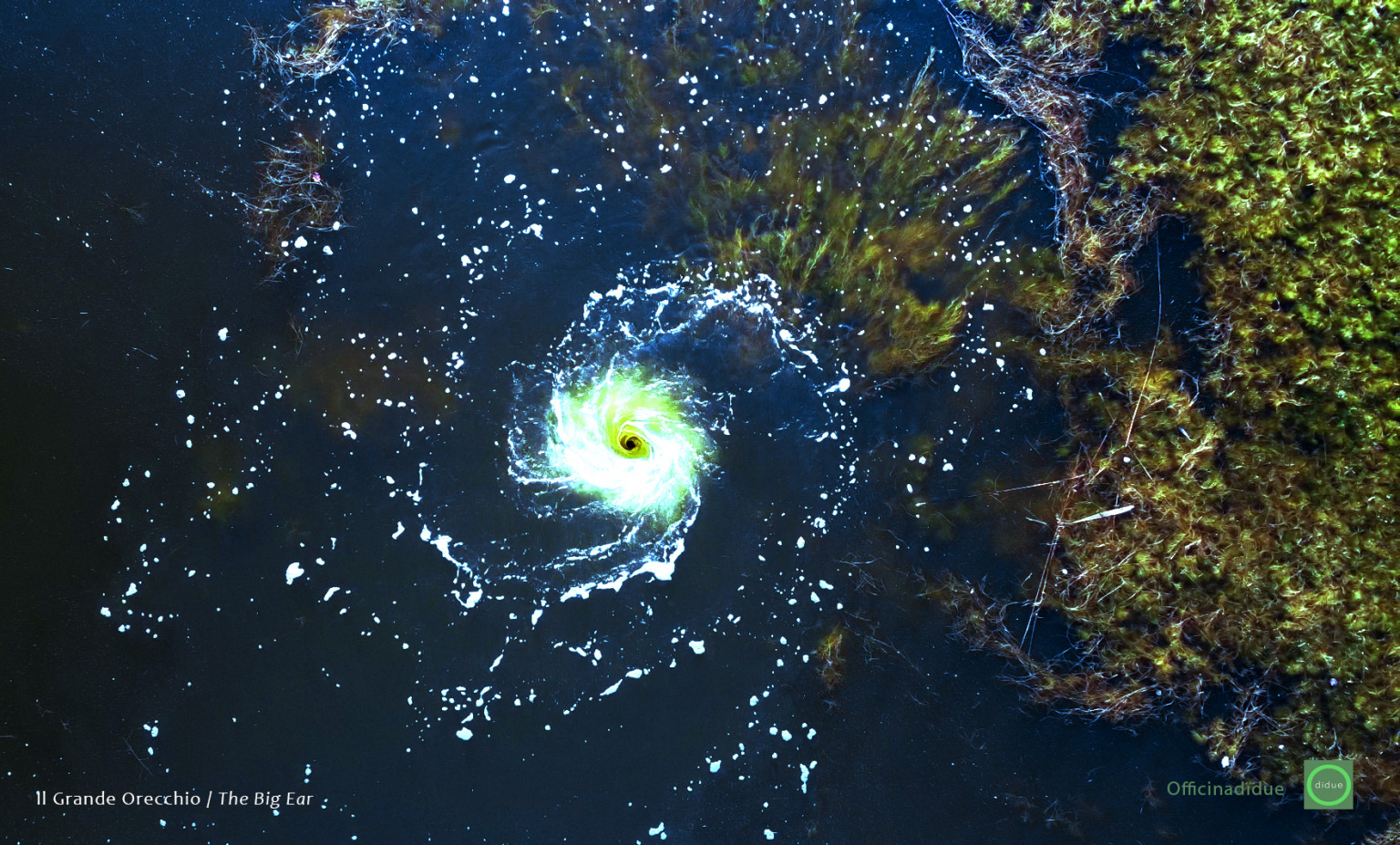 Albarella: A Beach Holiday on the Green Island in the Po Delta