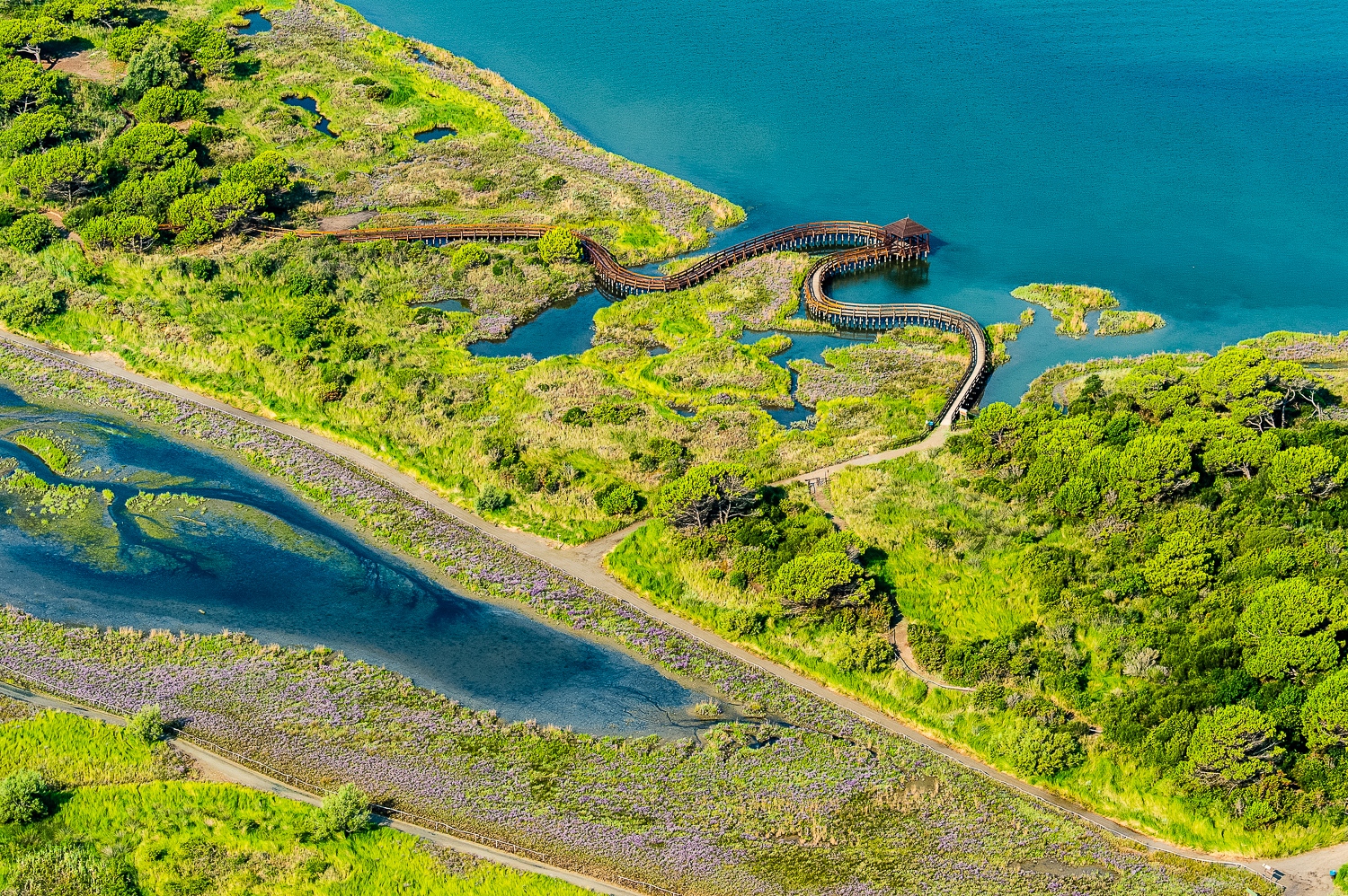 Po-Delta-Park: alle Infos zum Parco regionale del Delta del Po - Albarella