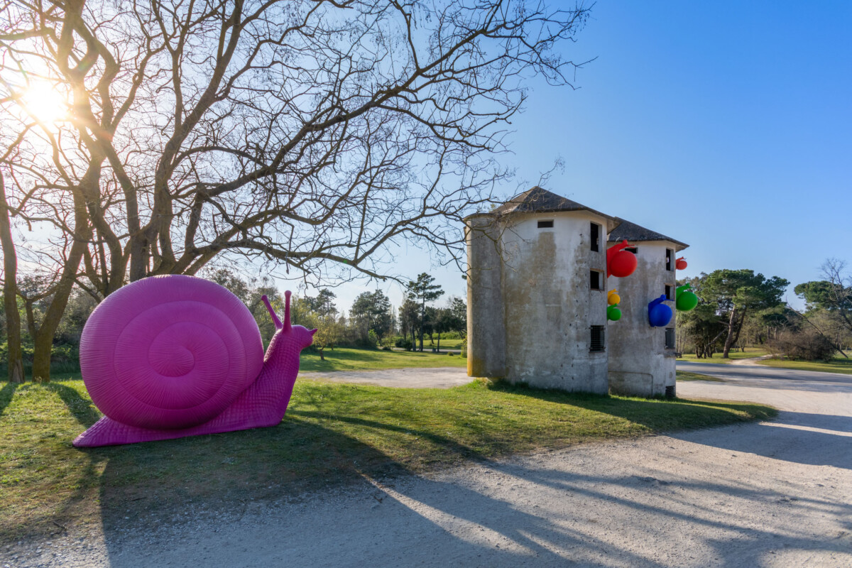 An Island immersed in the nature of the Po Delta: Albarella