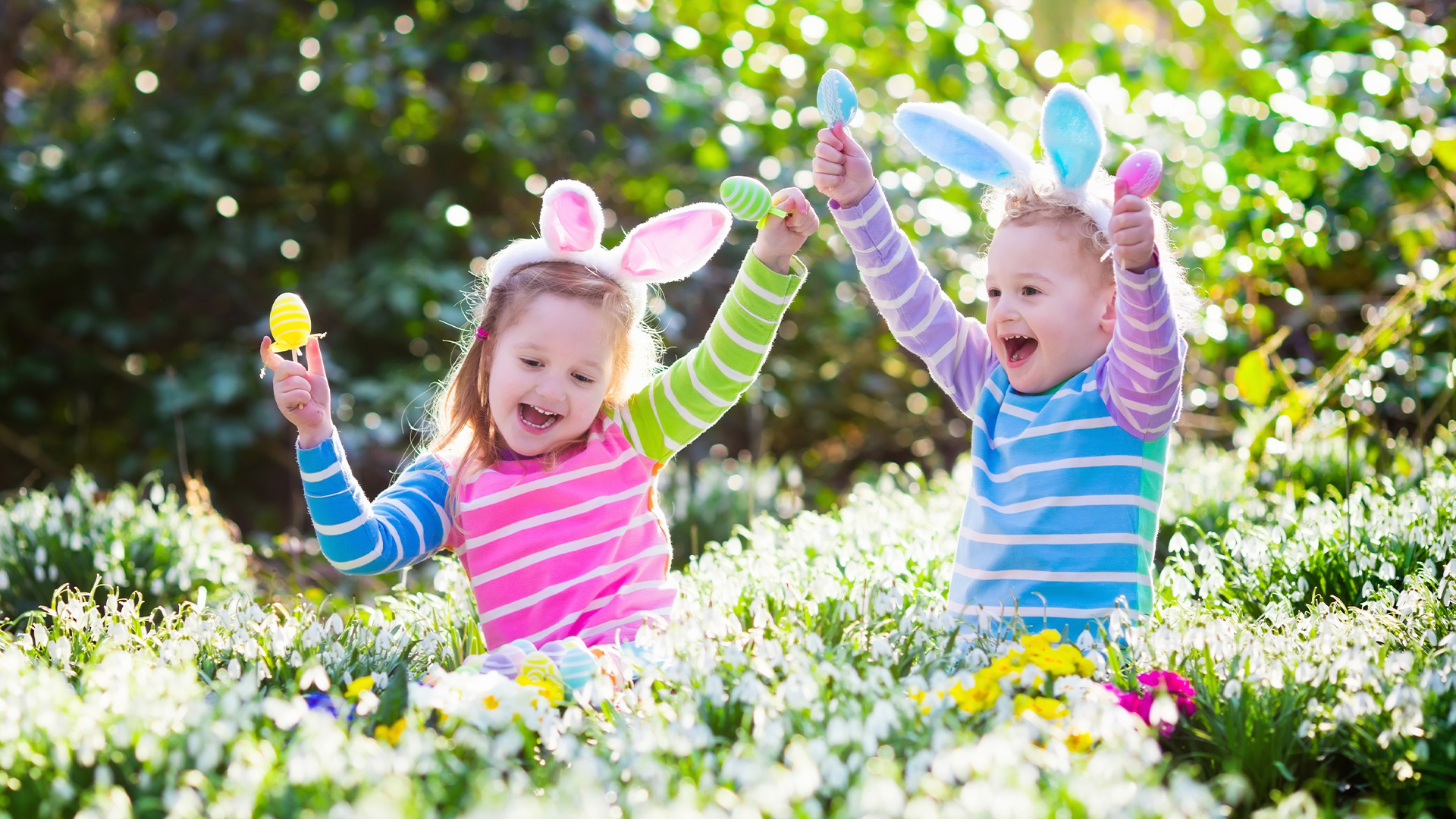Albarella: Strandurlaub auf der grünen Insel im Po-Delta