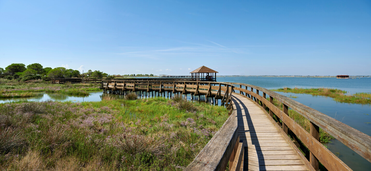 Albarella: Vacanza al Mare nell'Isola Green nel Delta del Po
