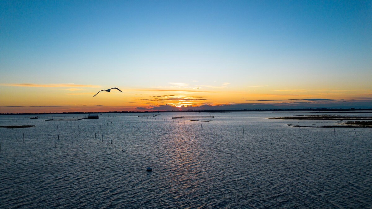 Albarella: Strandurlaub auf der grünen Insel im Po-Delta